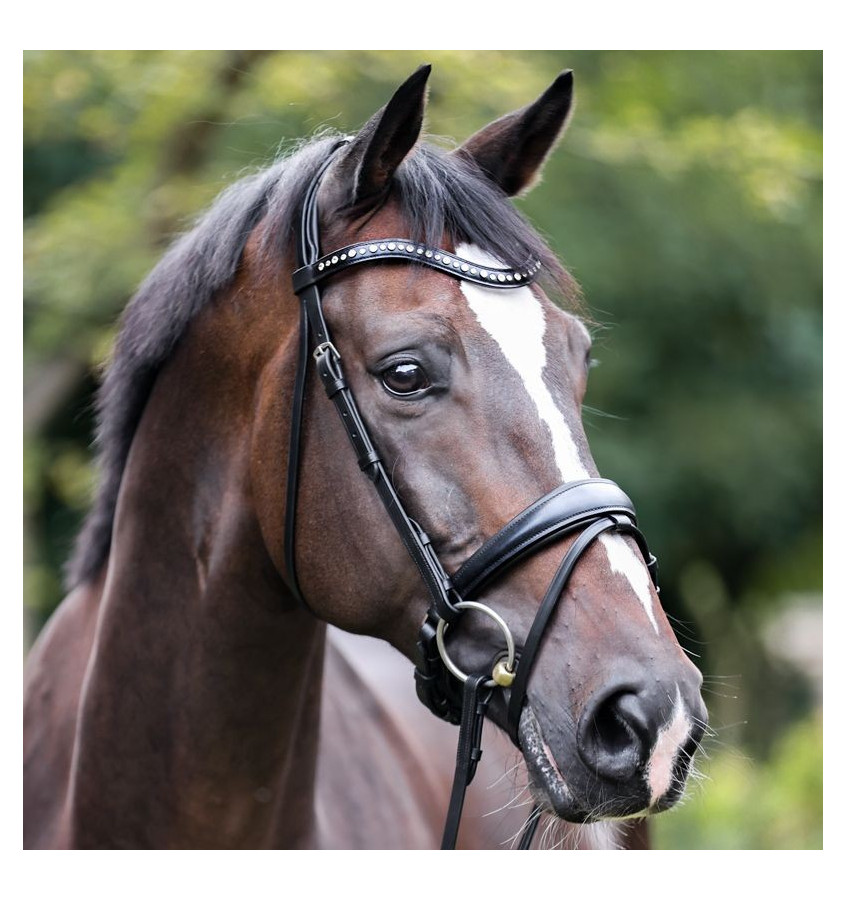 Ogłowie dla konia Mia